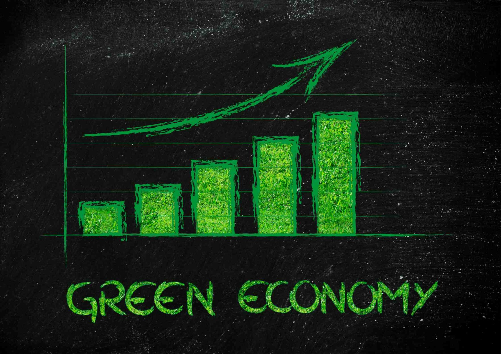 What You Need to Know About Green Sukuk - Musaffa Academy