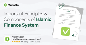 Important Principles & Components of Islamic Finance System - Musaffa ...