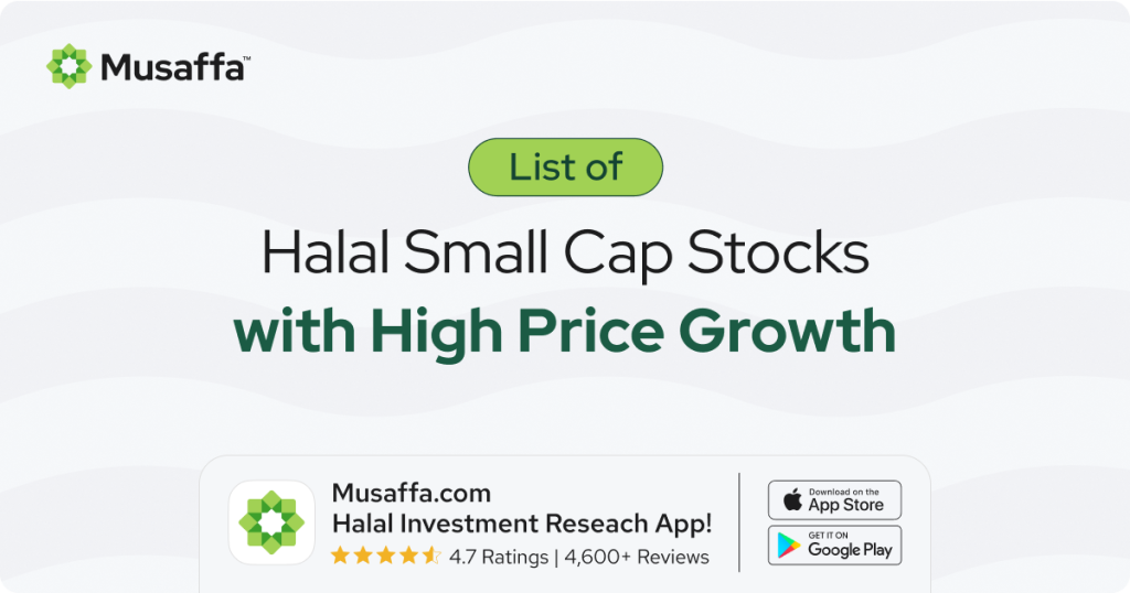 List of Halal Small Cap Stocks with High Price Growth - Musaffa Academy